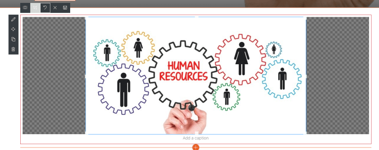 Image resizing on Modern SharePoint pages – Corey Roth's Blog